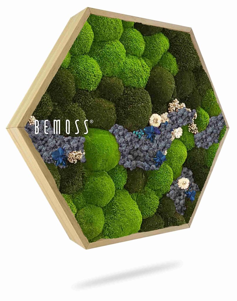 Machový Hexagon BOLMOSS COSMO Blue | BEMOSS